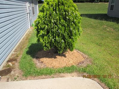 NoFloat 2-cu ft Cypress Blend Mulch in the Bagged Mulch department at ...
