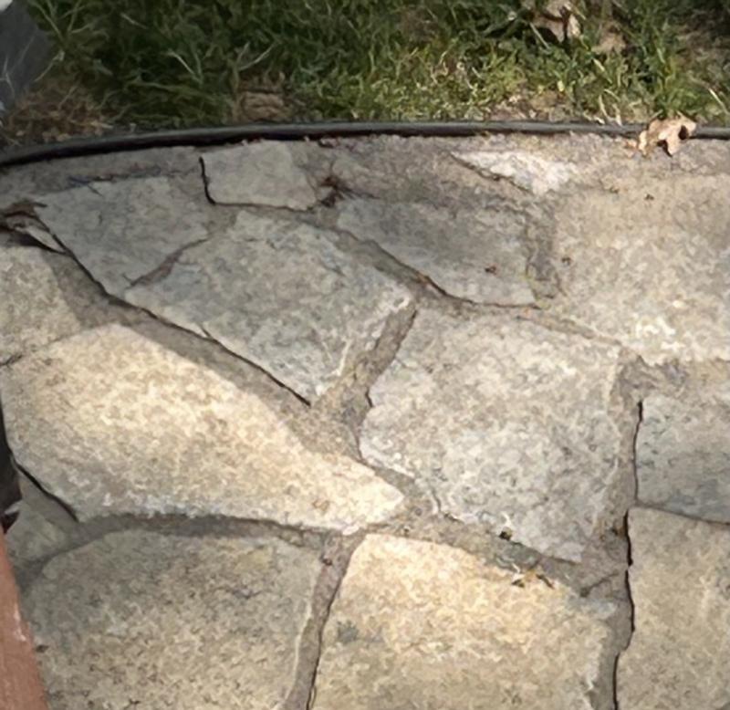 Techniseal EZ Sand 35-lb Gray Paver Polymeric Sand 40100603 at Lowes.com