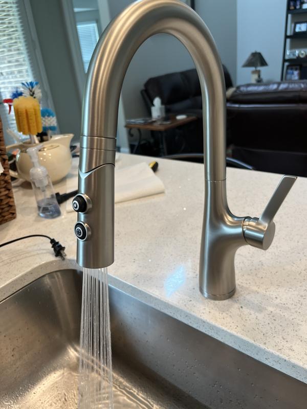 Pfister Ceylon Spot Defense Stainless Steel Single Handle Pull-down ...
