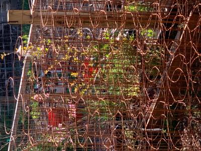 Grip-Rite 5-ft x 150-ft Steel Wire Mesh Roll in the Remesh department ...