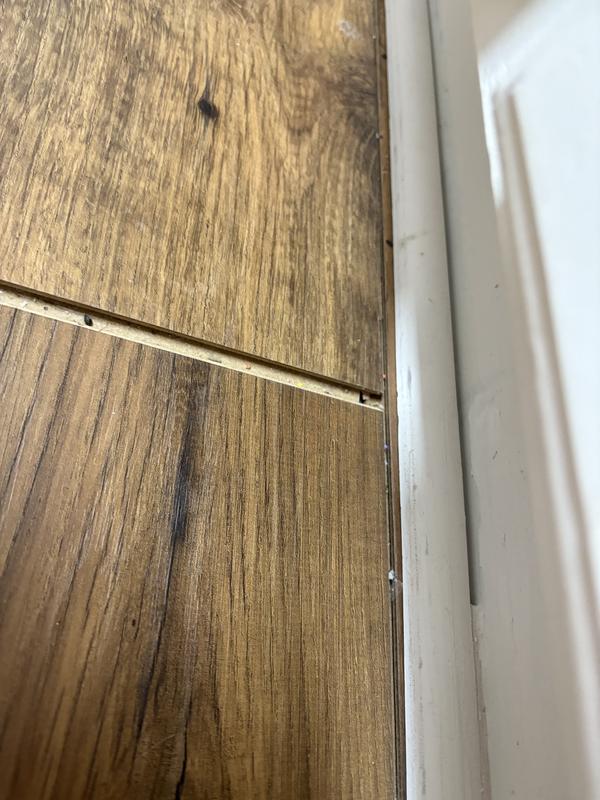 STAINMASTER PetProtect Beckett Ridge Chestnut 12-mm T x 7-1/2-in W x 47 ...