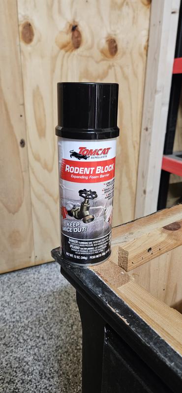 TOMCAT Rodent Block Expanding Foam Barrier Rat Prevent 4418510 at Lowes.com