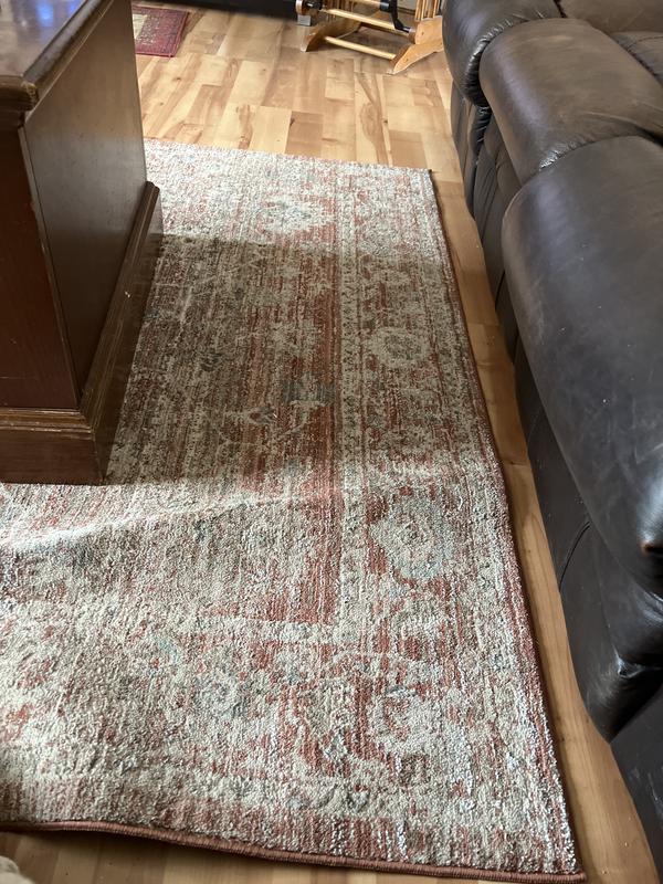 allen + roth Azalea 9 x 12 (ft) Loomed Rust Rectangular Indoor Pet ...