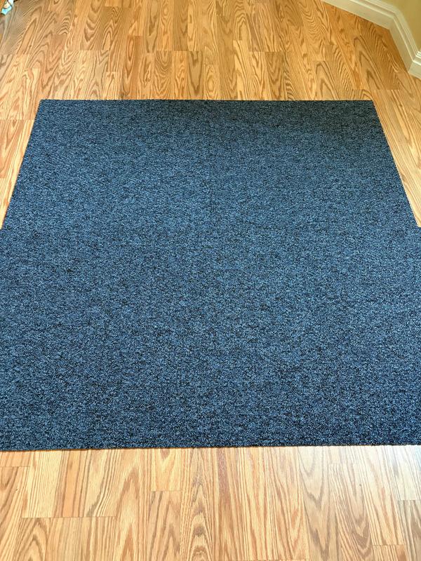 Shaw Timely 24-in x 24-in Elevate Blue Commercial Adhesive Indoor ...