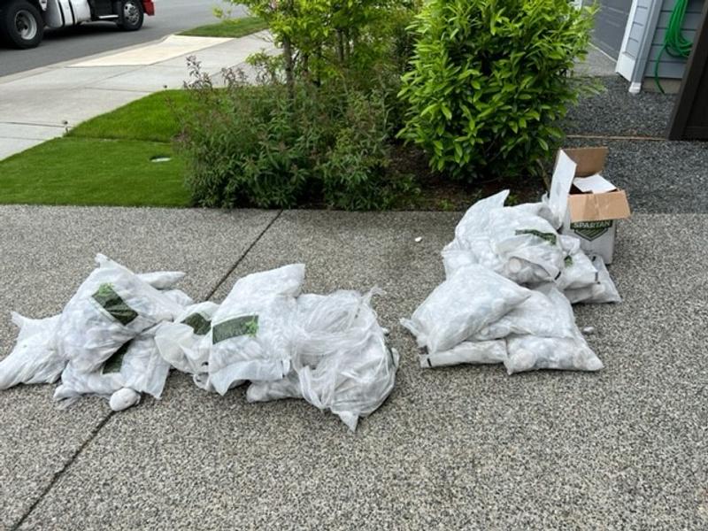 Rain Forest Grey and Tan Beach Pebbles 1-3-in 30lbs - River Rock for ...