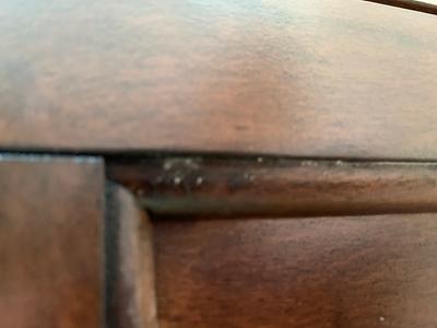 Style Selections Morecott 24-in Chocolate Single Sink Bathroom Vanity ...