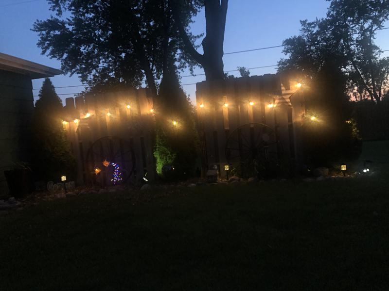 Westinghouse Solar Warm White Outdoor String Light with 15 White LED ...