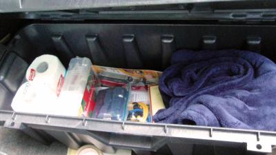 CONTICO Black Plastic Storage Trunk at Lowes.com