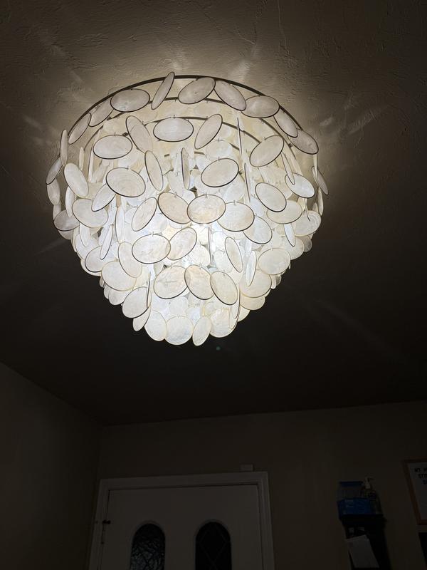 AloaDecor Lighting 7 -Light Bronze Shell Metal Chandelier in the ...