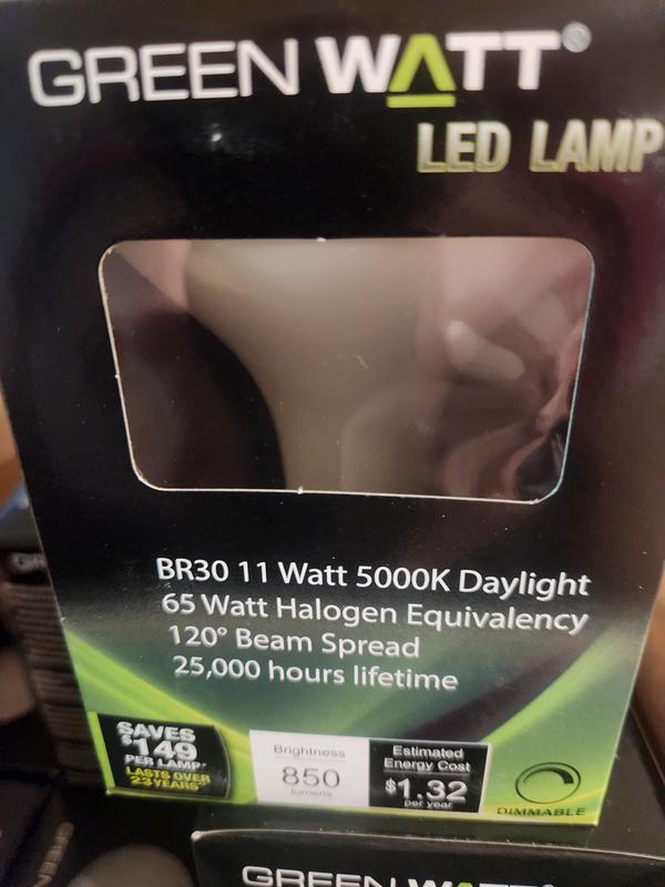 Green Watt 65-Watt EQ Warm White E26 Dimmable Spot and Flood Light Bulb ...