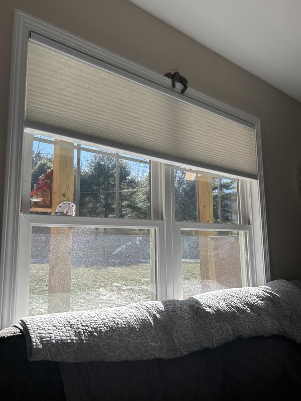 LEVOLOR 46-in x 72-in Textured Sand Light Filtering Cordless Cellular ...