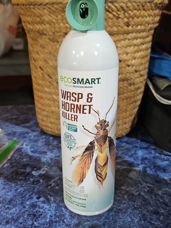 EcoSMART 14-fl oz Natural Insect Killer Aerosol (2-Pack) ECSM-33529 ...