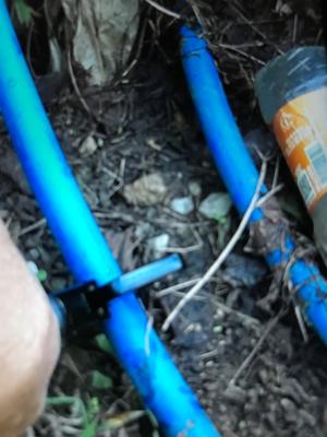 Kobalt Cutter Pex Cutter 59087 at Lowes.com