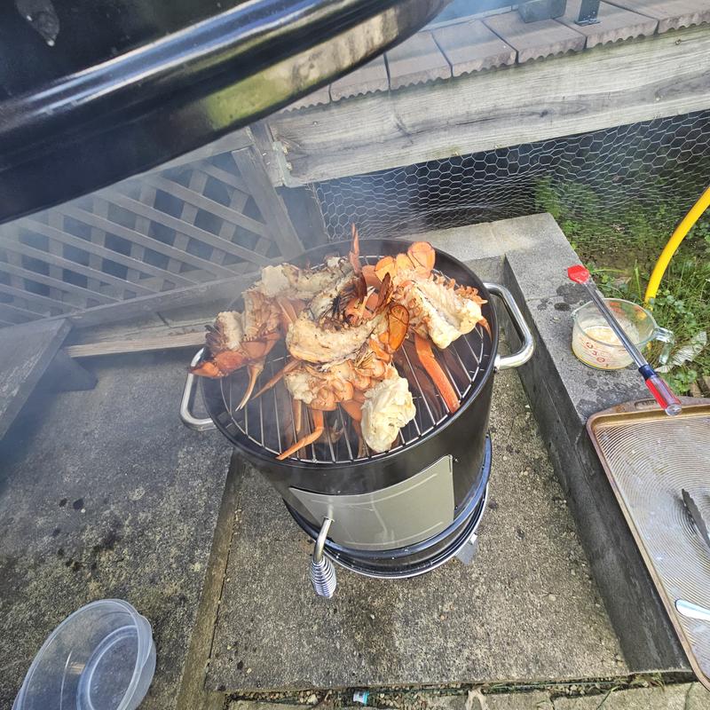 Master Forge 564-Sq in Black Vertical Charcoal Smoker CBS24032L at ...