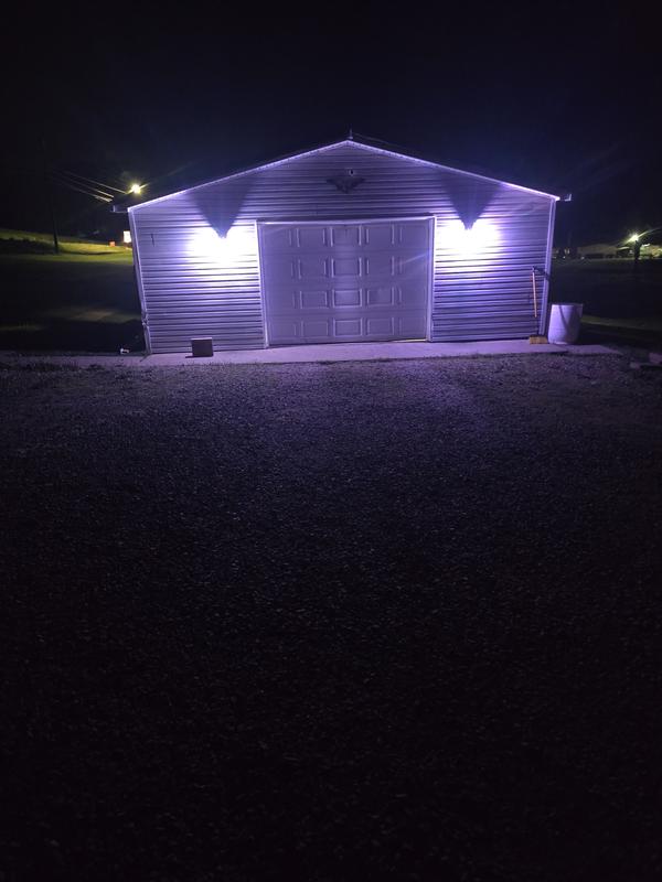 GE Cync 60-Watt EQ ST19 Full Spectrum Medium Base (e-26) Dimmable Smart ...