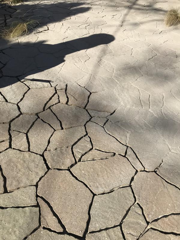 Sakrete 40-lb Gray Paver Polymeric Sand 700159 at Lowes.com