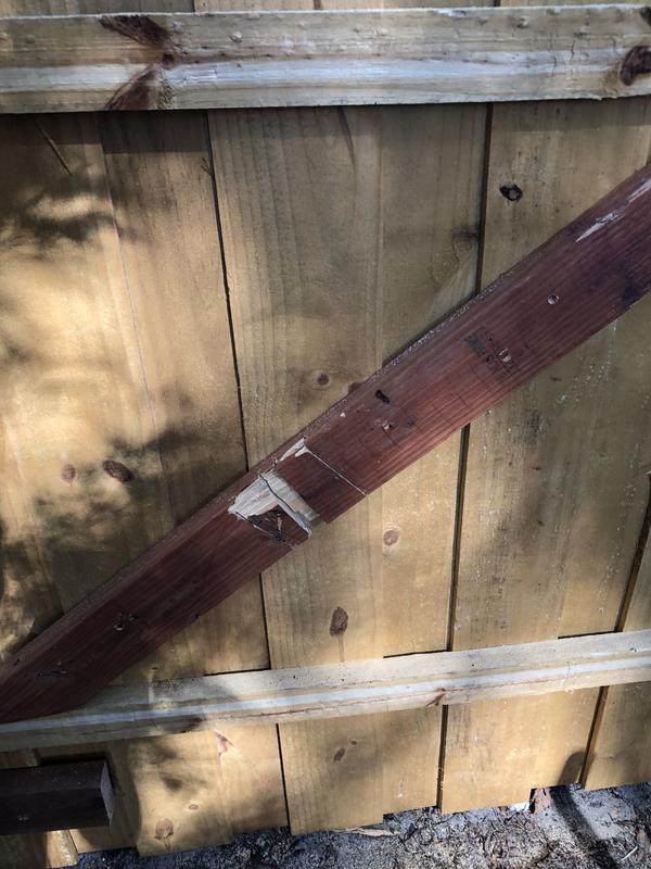 Severe Weather 4-ft x 8-ft Pressure Treated Pine Dog Ear Stockade ...