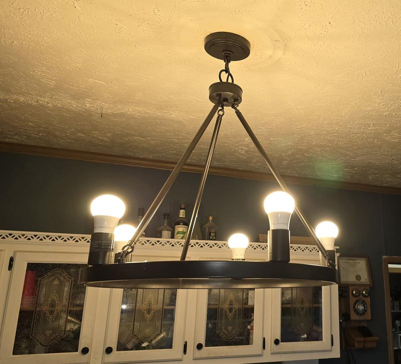 allen + roth Dixon 5 -Light Bronze Bare bulb Metal Chandelier in the ...