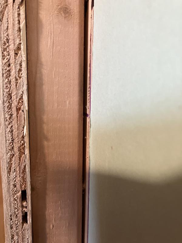 2-in x 4-in x 94-1/4-in Green Douglas Fir #2 Stud in the Studs ...