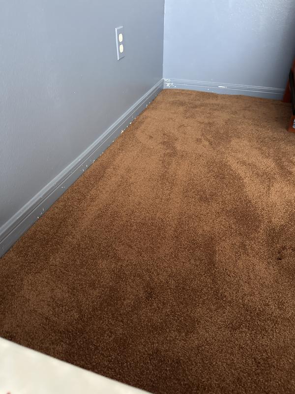 STAINMASTER (Sample) Unmatched Beauty IV Cheviot Off-white 97.5-oz sq ...