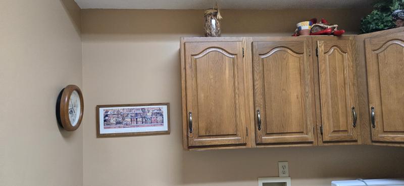 HGTV HOME by Sherwin-Williams Ovation Plus Satin Rocky Bluffs 4003-1c ...