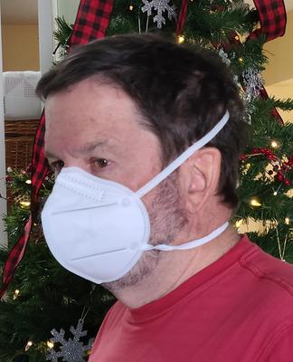 Dasheng White Disposable N95 Safety mask 5 -Pack in the Respirators ...