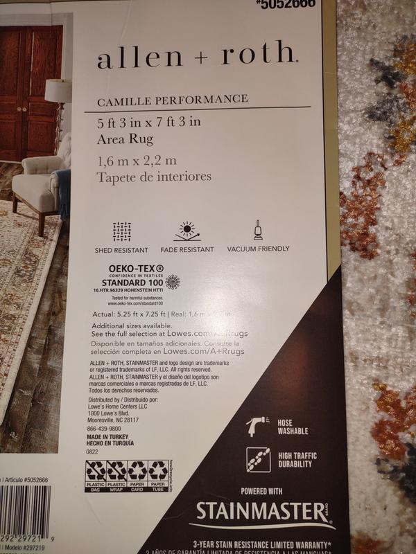 allen + roth with STAINMASTER Camille Border 8 X 10 (ft) Beige Indoor ...