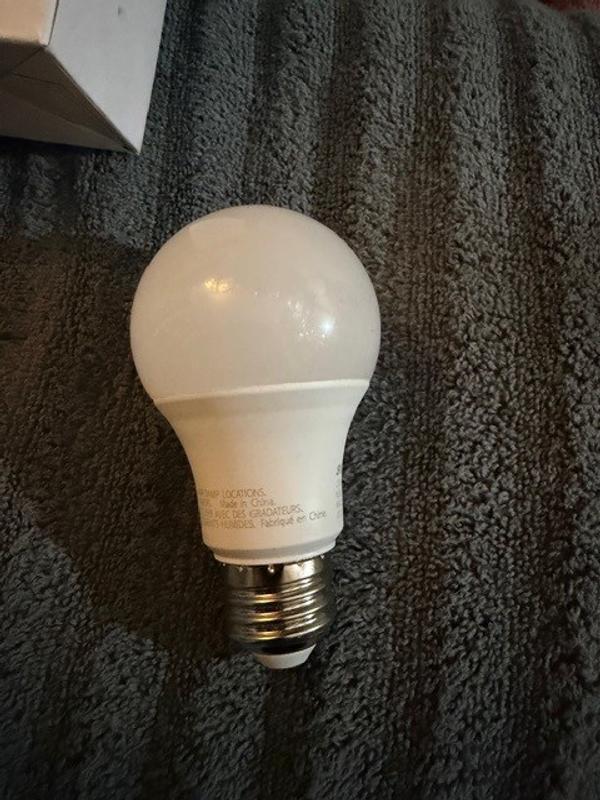 Simply Conserve ENERGY STAR 100-Watt EQ A19 Soft White Medium Base (e ...