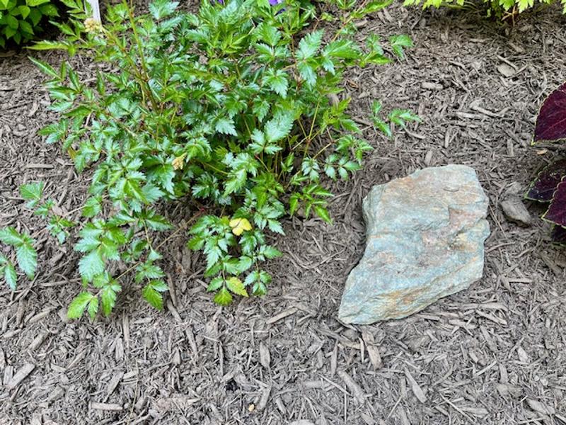 Timberline Premium 2-cu ft All Natural Cedar Mulch Blend Mulch 52055477 ...