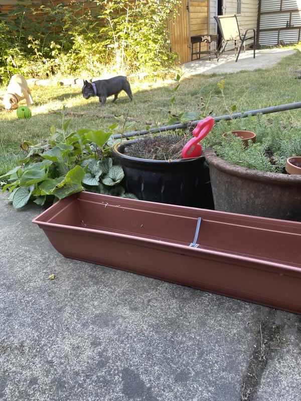 Style Selections Rectangle 35.51-in W x 8.03-in L Orange Recycled ...