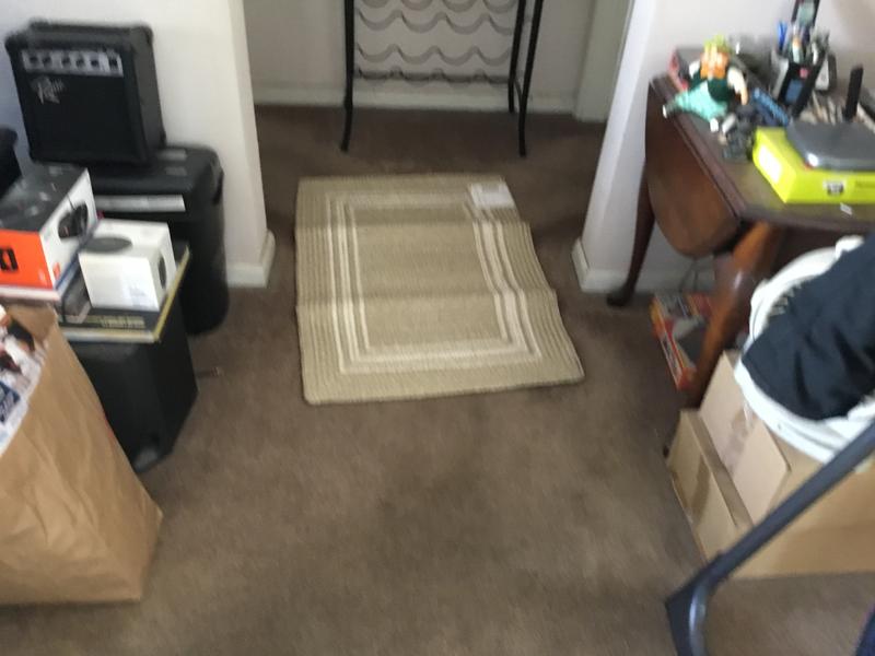 allen + roth Faux Jute White Border 8 x 10 (ft) Braided Polypropylene ...