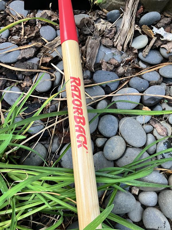 Razor-Back 60-in Wood-Handle Garden Hoe 70110 at Lowes.com
