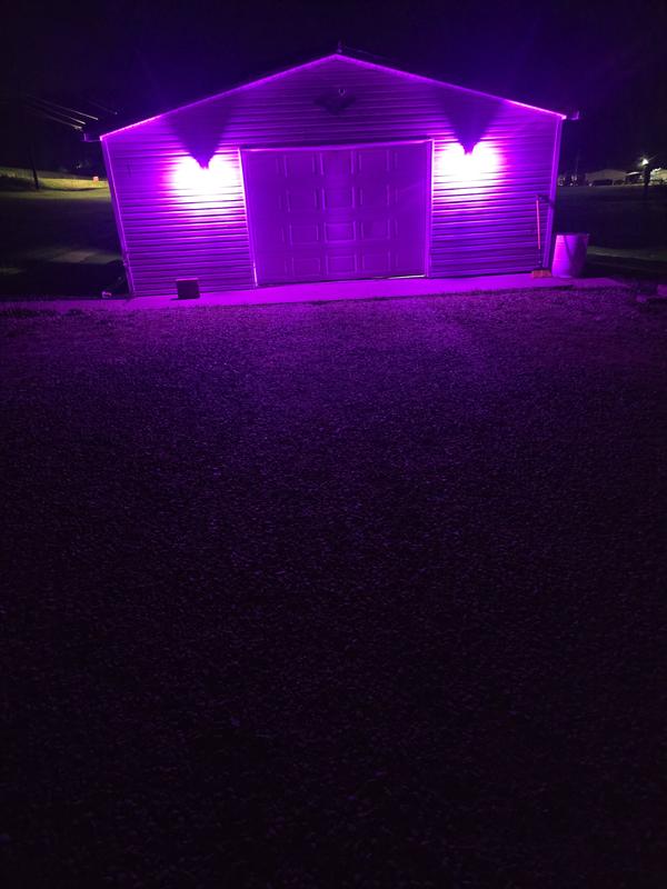 GE Cync 60-Watt EQ ST19 Full Spectrum Medium Base (e-26) Dimmable Smart ...