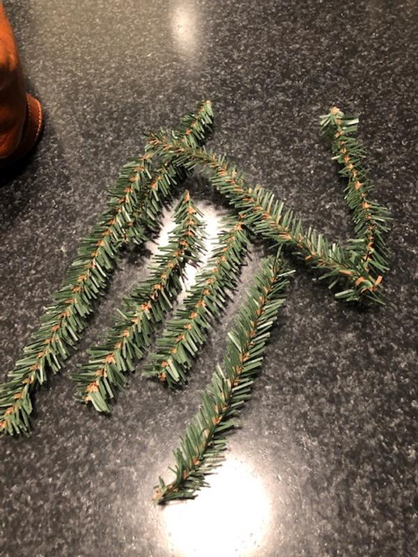 Sterling Tree Company 2-ft Alpine Artificial Christmas Tree 5408-20EC ...