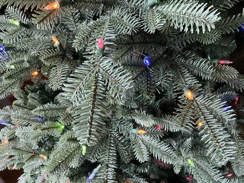 Shop Tree Classics by Balsam Hill Balsam Hill Artificial Greenery ...