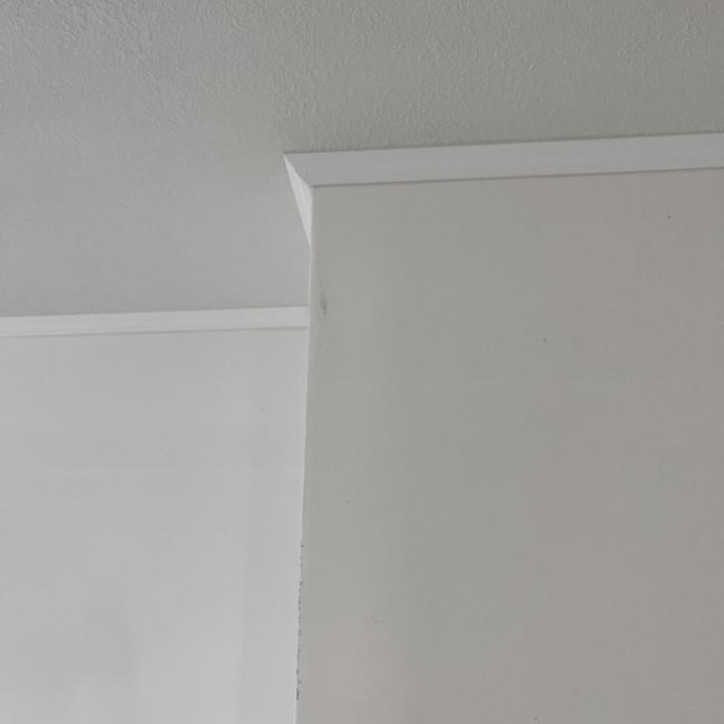 Orac Decor 1-1/8-in T x 1-5/8-in W x 78-in L Primed Polystyrene Crown ...