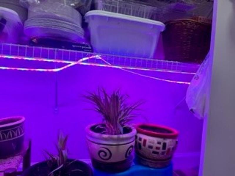 Utilitech 141.73-in 1-Light White 24-Watt Full Spectrum LED Grow Light ...