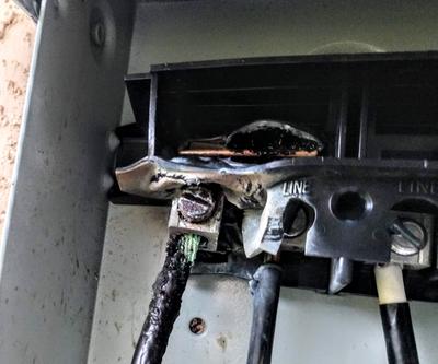 ABB 60 Amp Single phase (120V/240V) Fusible Outdoor Light-duty ...