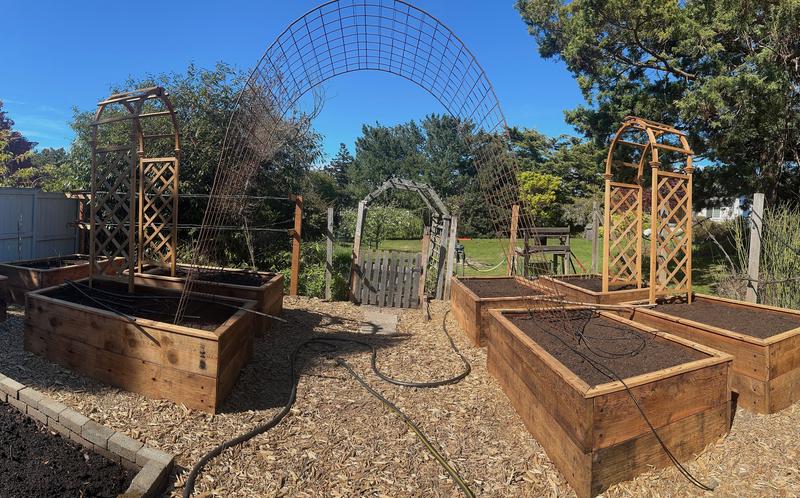 Vita Mezza 3.54-ft W x 6.78-ft H Golden Brown Garden Arbor VA68893 at ...