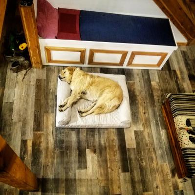 Style Selections Kaden Reclaimed 6-in x 36-in Glazed Porcelain Wood ...