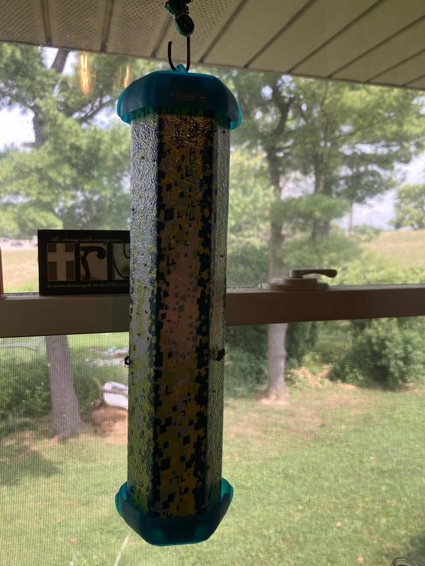 RESCUE! TrapStick for Flies Indoor Insect Trap 1TSF at Lowes.com