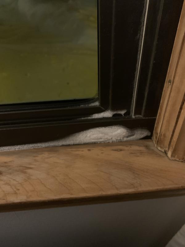 Pella Impervia Series 23-1/2-in x 35-1/2-in Brown Exterior Brown ...