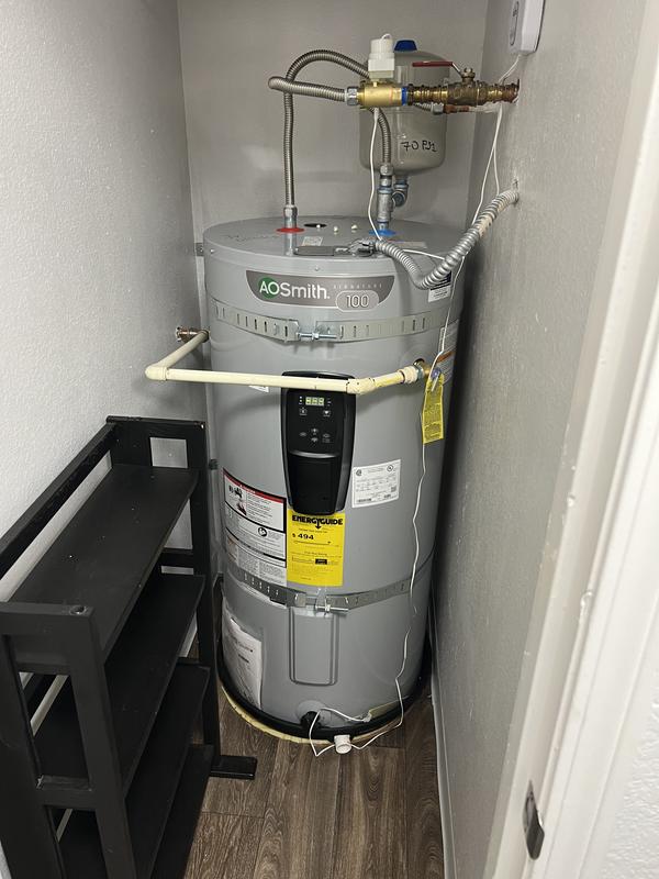 A.O. Smith Signature 100 50-Gallons Short 6-year Warranty 4500-watt ...