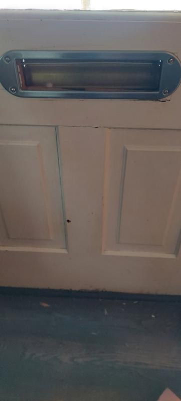 Franklin Brass Brushed Gold Mail Slot (Mounting Hardware Included) in ...