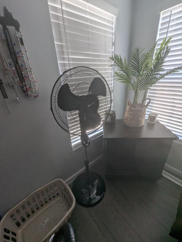 Utilitech 18-in 120-Volt 3-Speed Indoor Black Oscillating Pedestal Fan ...