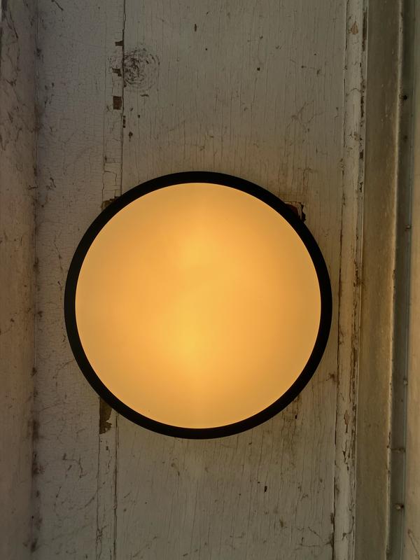 Project Source Hobart 1-Light 11-in Matte Black Indoor/Outdoor LED ...