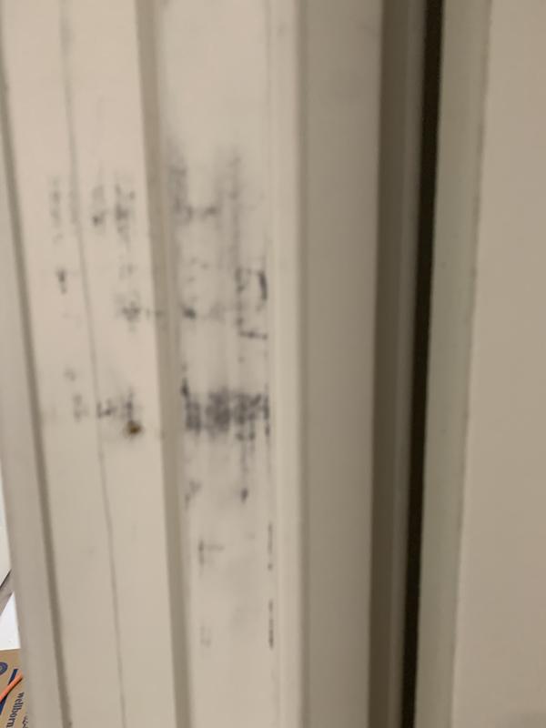 JELD-WEN 32-in x 80-in Colony Solid Core 3-panel Right Hand Molded ...