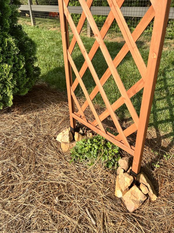 Stake It Durable Black ABS Trellis Support for Easy Installation and ...
