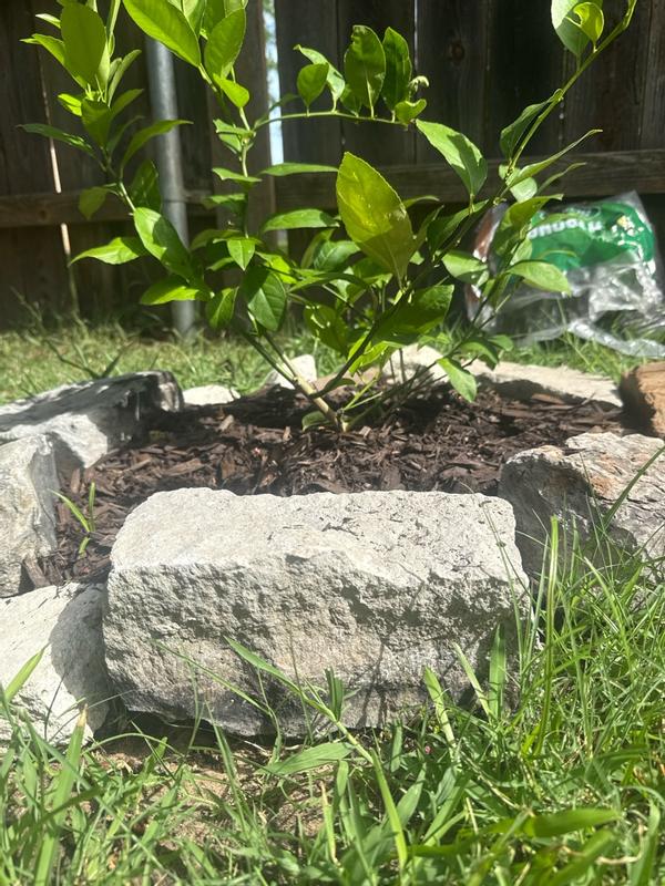 5-in H x 13.022-in L x 7.625-in D Antique Pewter Concrete Retaining ...
