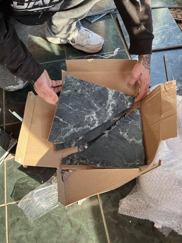 Apollo Tile Regalia White 12-in x 12-in Matte Porcelain Marble look ...